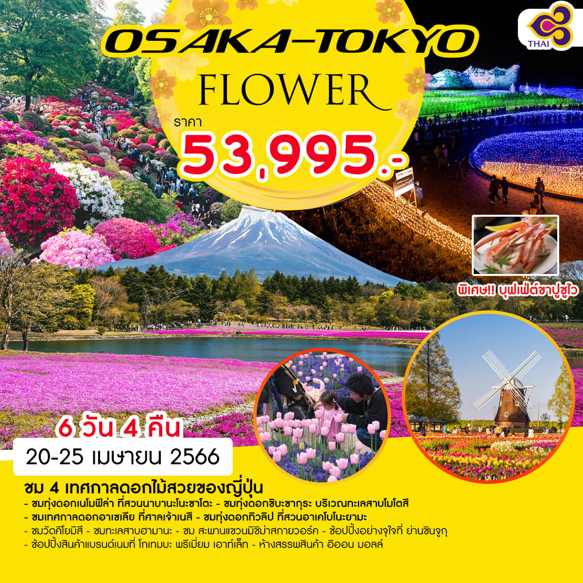 ทัวร์ญี่ปุ่น OSAKA TOKYO FLOWER 6วัน 4 คืน - JUBB230235