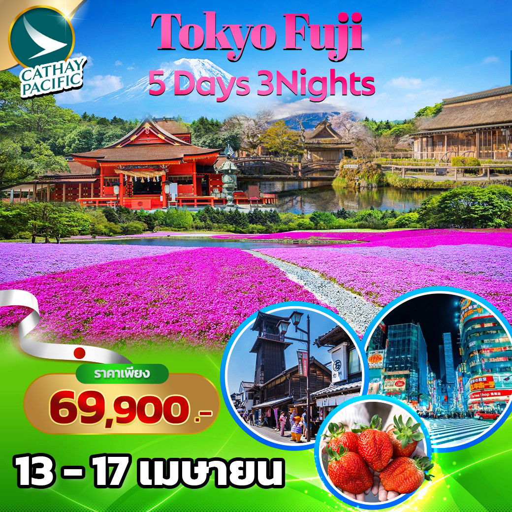 Japan Tokyo Fuji Super Meow 5D 3N