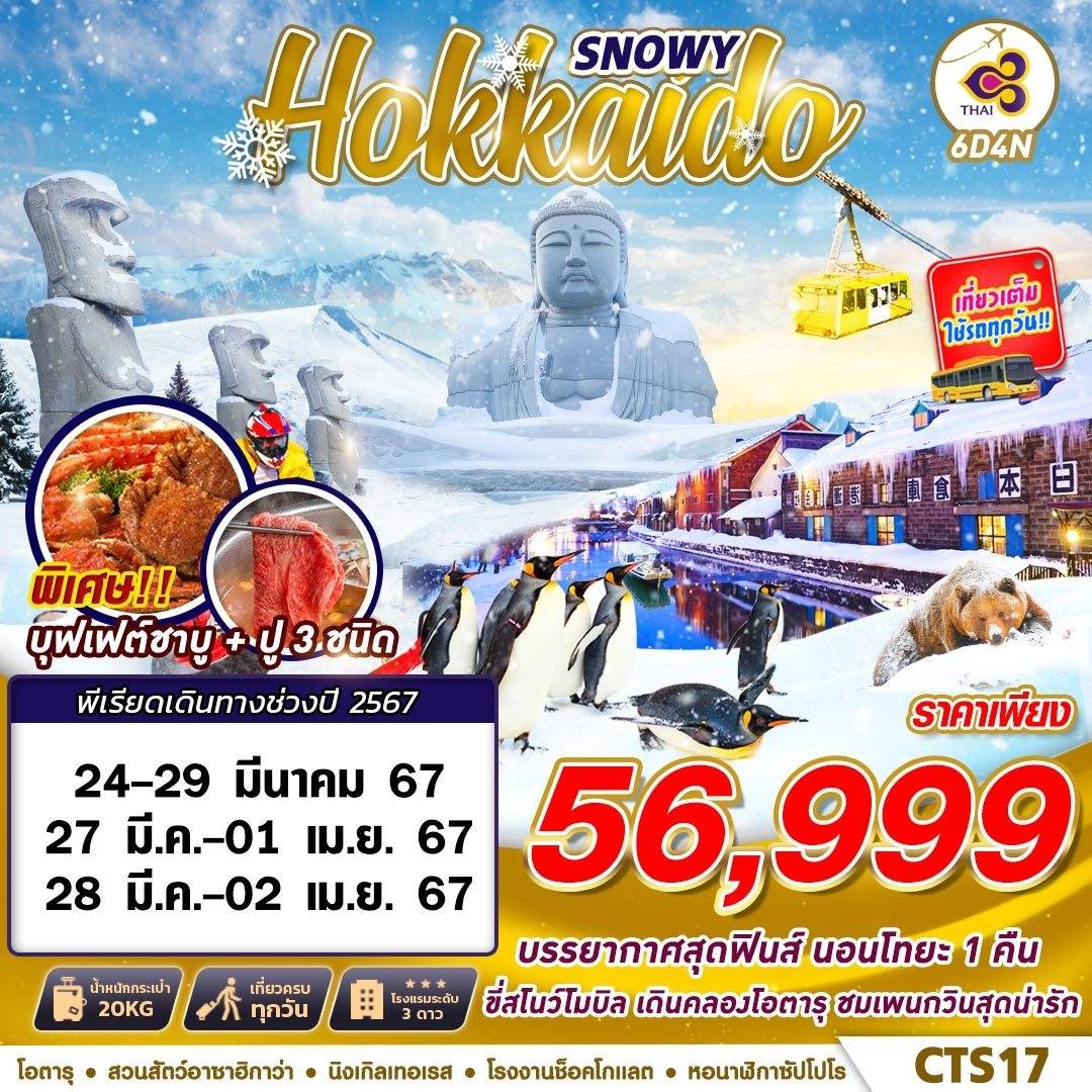 ทัวร์ Hokkaido Winter TOYA Snow