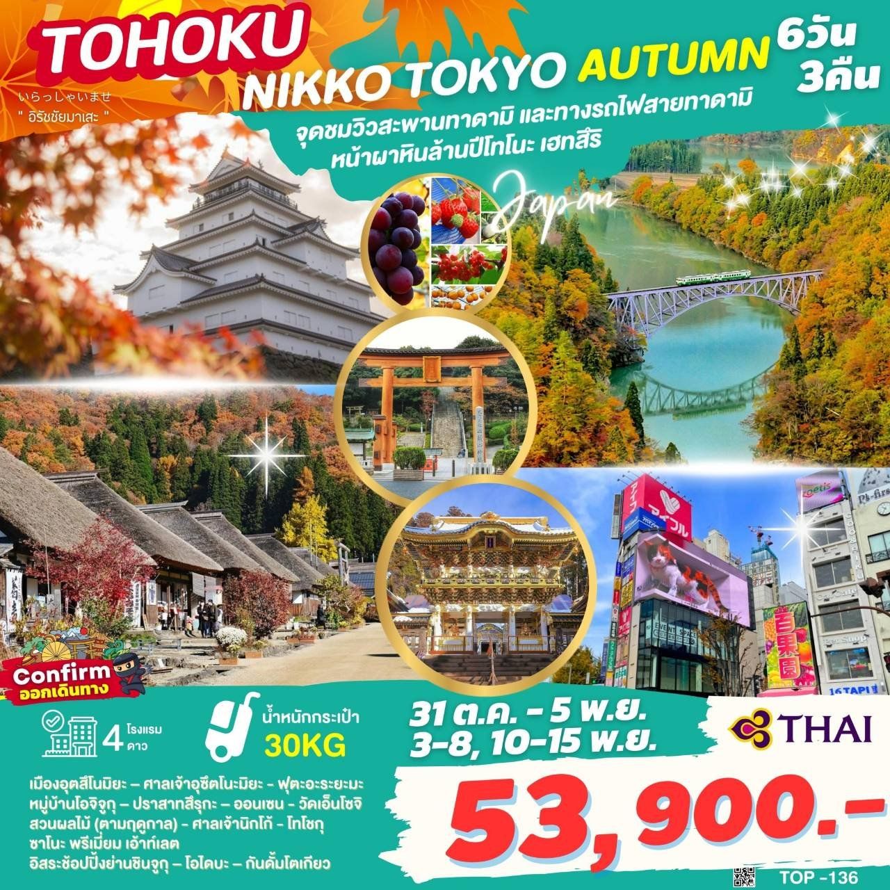 TOP136 TOHOKU NIKKO TOKYO AUTUMN 6D3N BY TG
