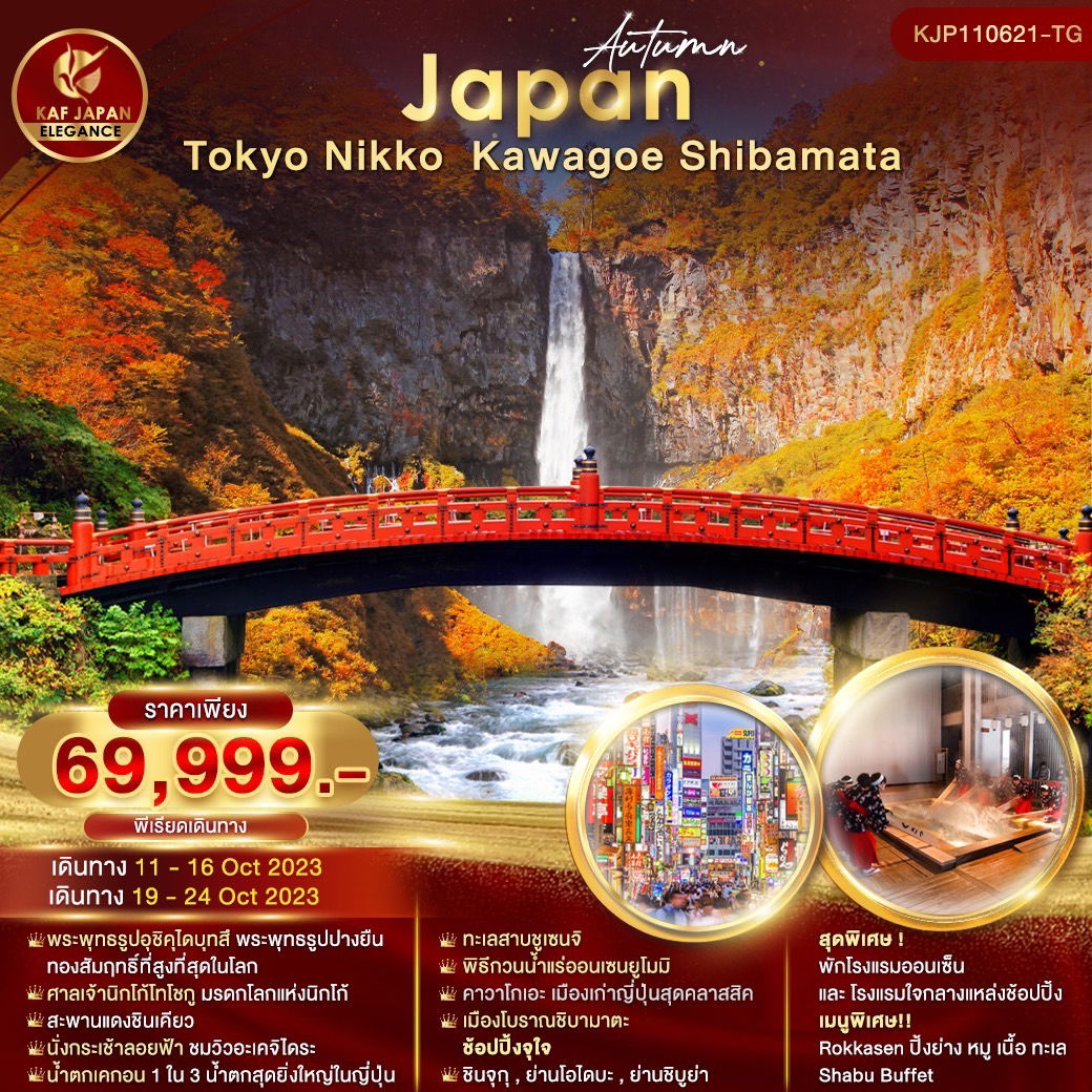 KJP110621-TG AUTUMN TOKYO NIKKO KAWAGOE SHIBAMATA 6D4N