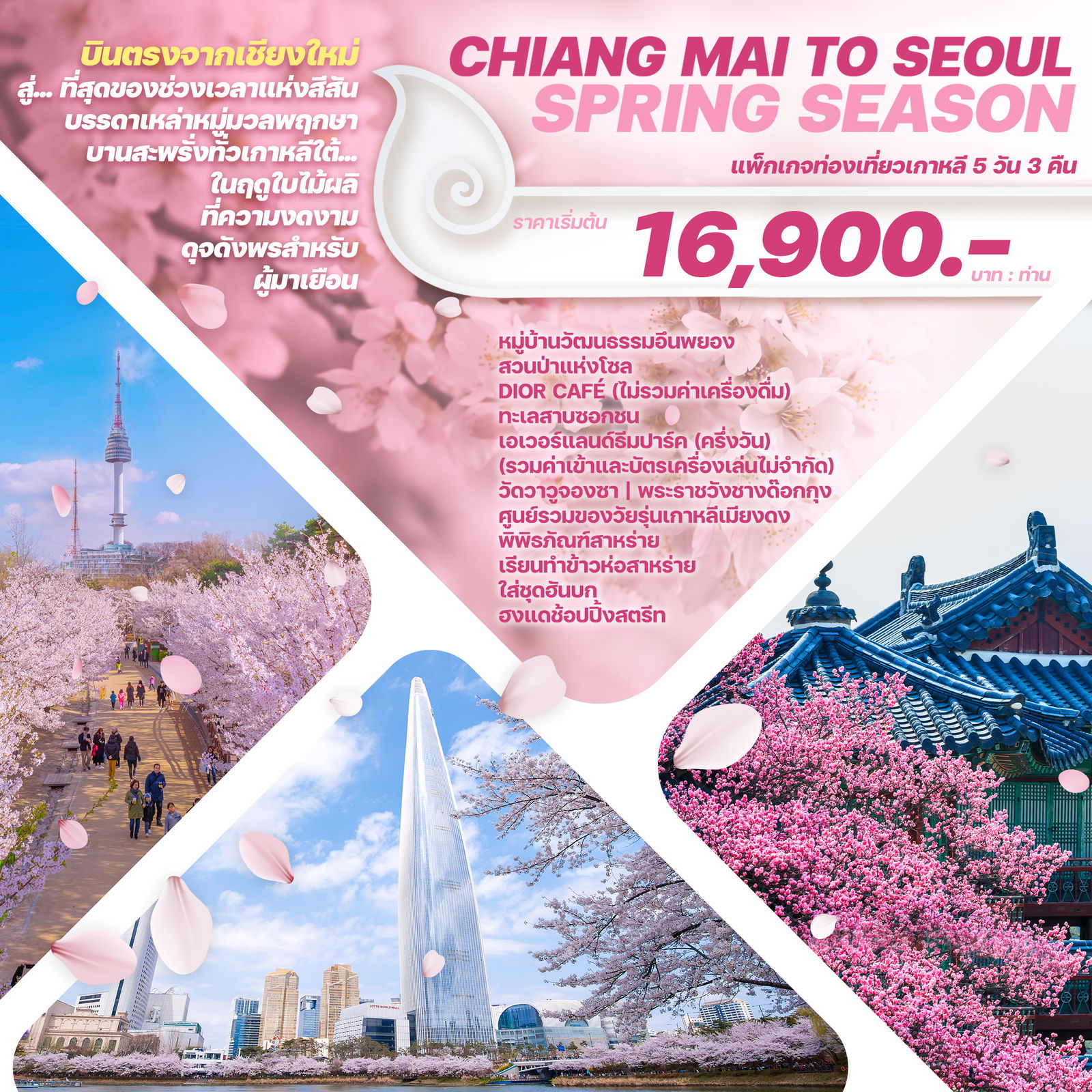 CHIANG MAI TO SEOUL SPRING SEASON 5 วัน 3 คืน เดินทาง มีนาคม - พฤษภาคม ...