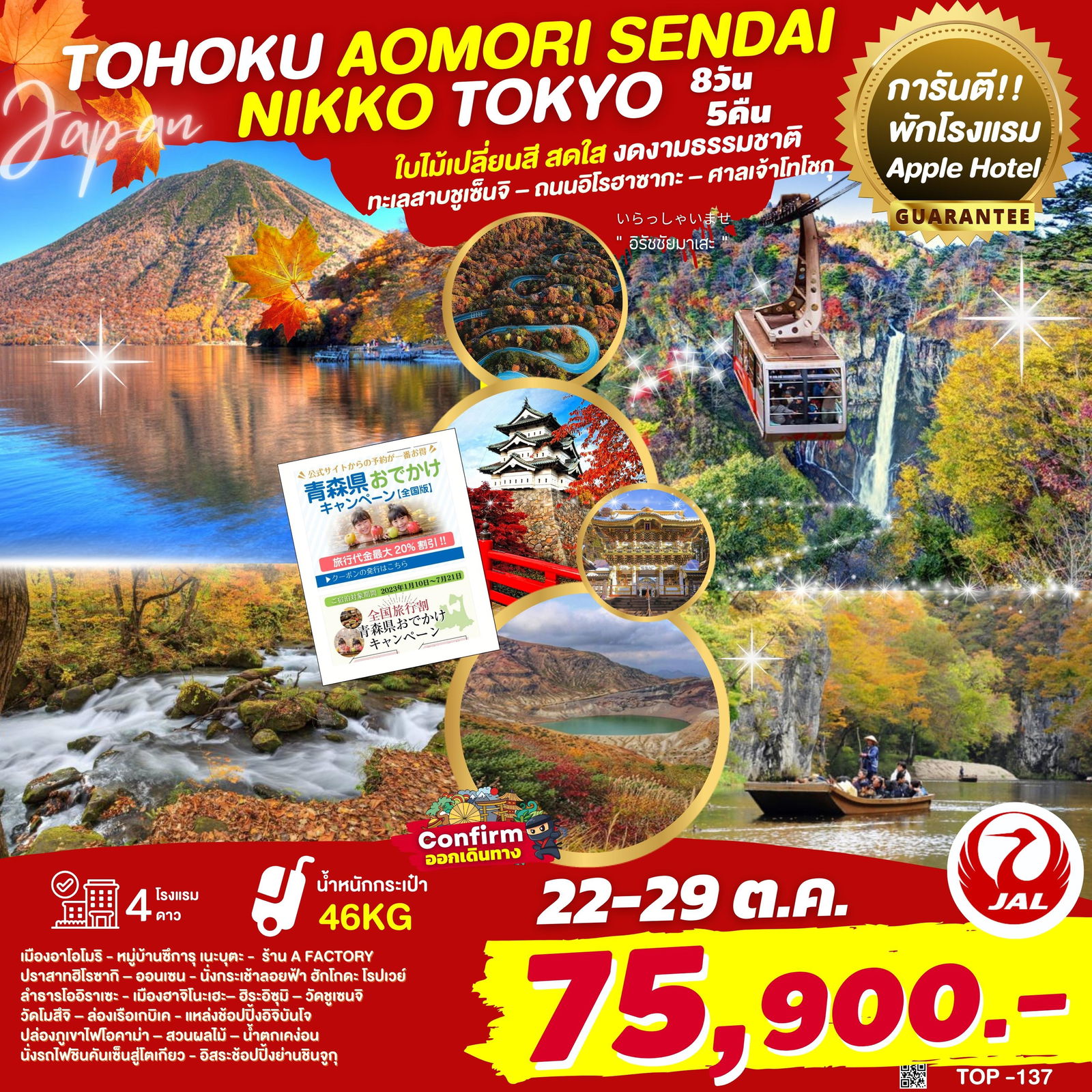 TOP137 : TOHOKU AOMORI SENDAI NIKKO TOKYO 8D5N BY JL